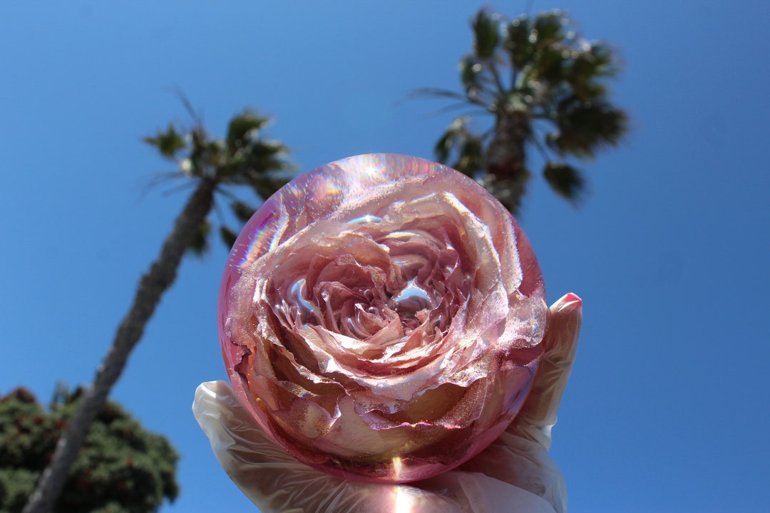 Resin Home Decor Flower Preservation hibiscus Peach Rosé Large Resin ...