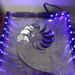 Ammonite Shell Night Light DXF - Lamp DXF File for Plasma/laser Cutting ...