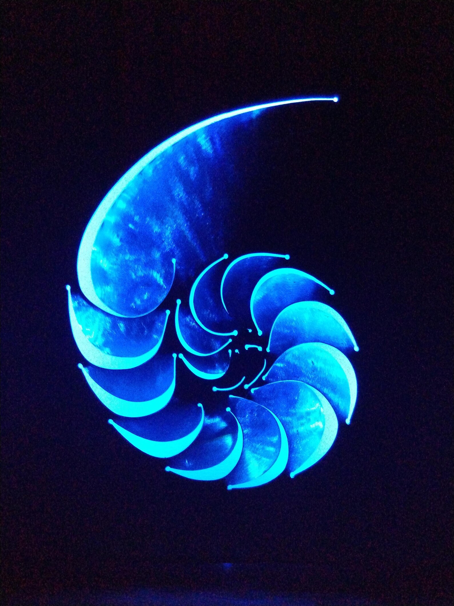 Ammonite Shell Night Light DXF - Lamp DXF File for Plasma/laser Cutting ...