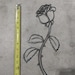 Table Top Rose Plasma CNC DXF Flower - Etsy