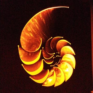 Ammonite Shell Night Light DXF - Lamp DXF File for Plasma/laser Cutting ...