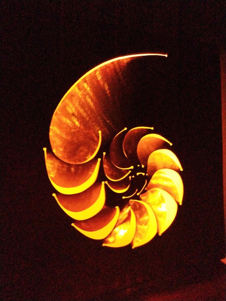 Ammonite Shell Night Light DXF - Lamp DXF File for Plasma/laser Cutting ...