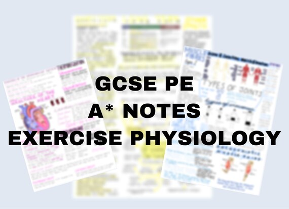 WJEC GCSE PE Theory Exercise Physiology Notes | Etsy