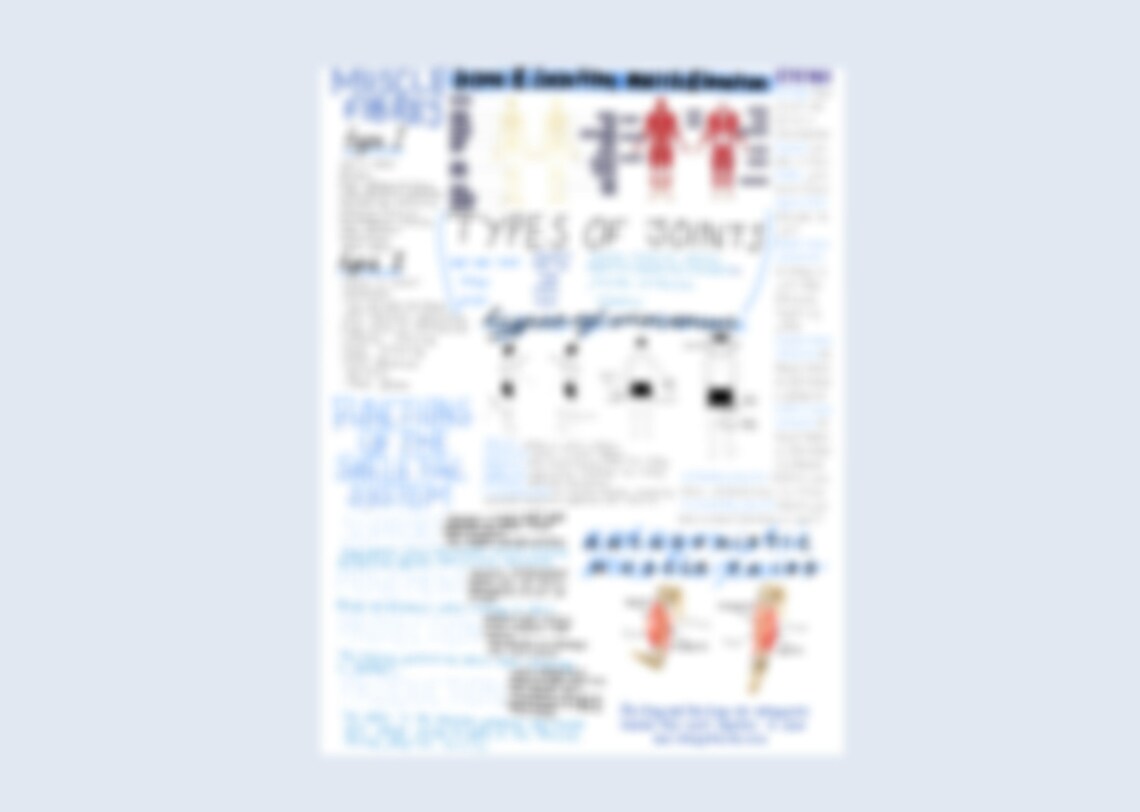 WJEC GCSE PE Theory Exercise Physiology Notes - Etsy