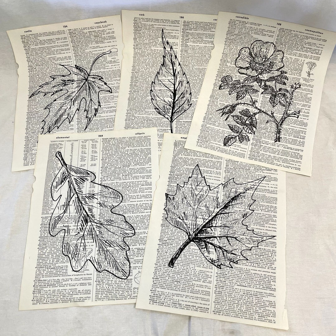 Fall Art Print Leaf Theme Dictionary Prints Leaf Flower Foliage ...