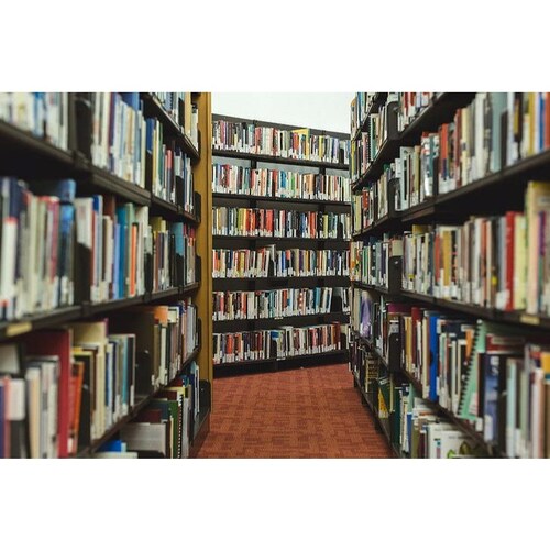 10 Pounds of Books Random Lot FREE SHIPPING You Pick Genre - Etsy