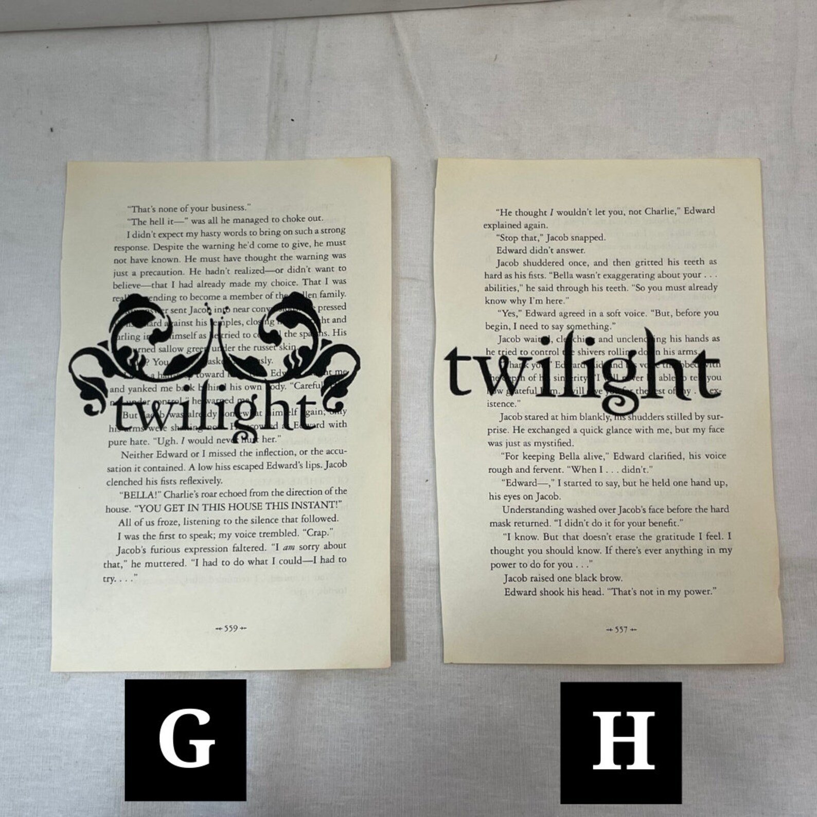 Twilight Poster Twilight Print Quotes on Unique Recycled Book | Etsy