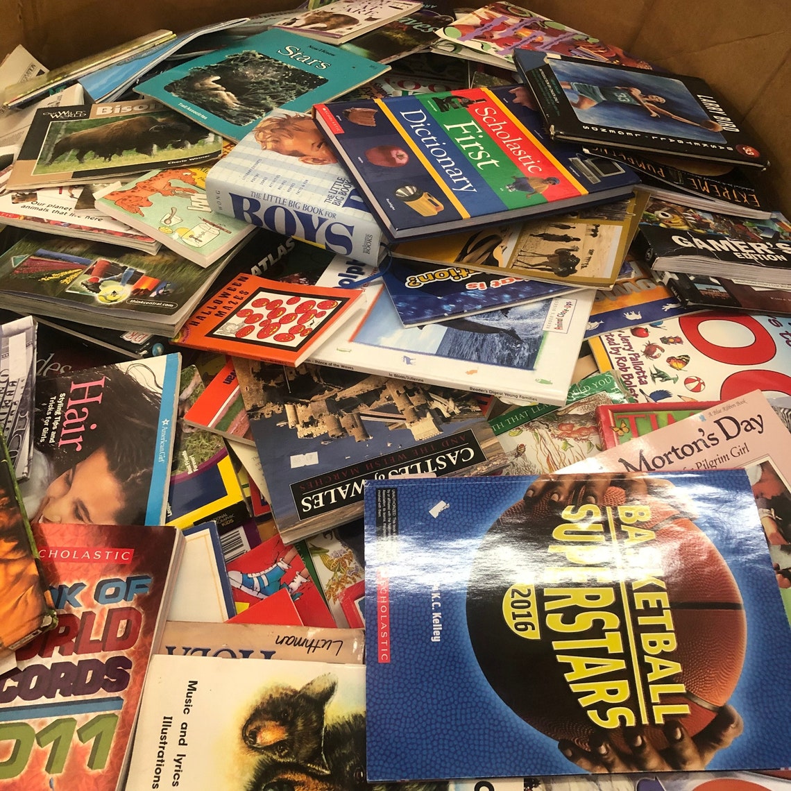 Educational Picture Books Instant Classroom Library Chapter - Etsy