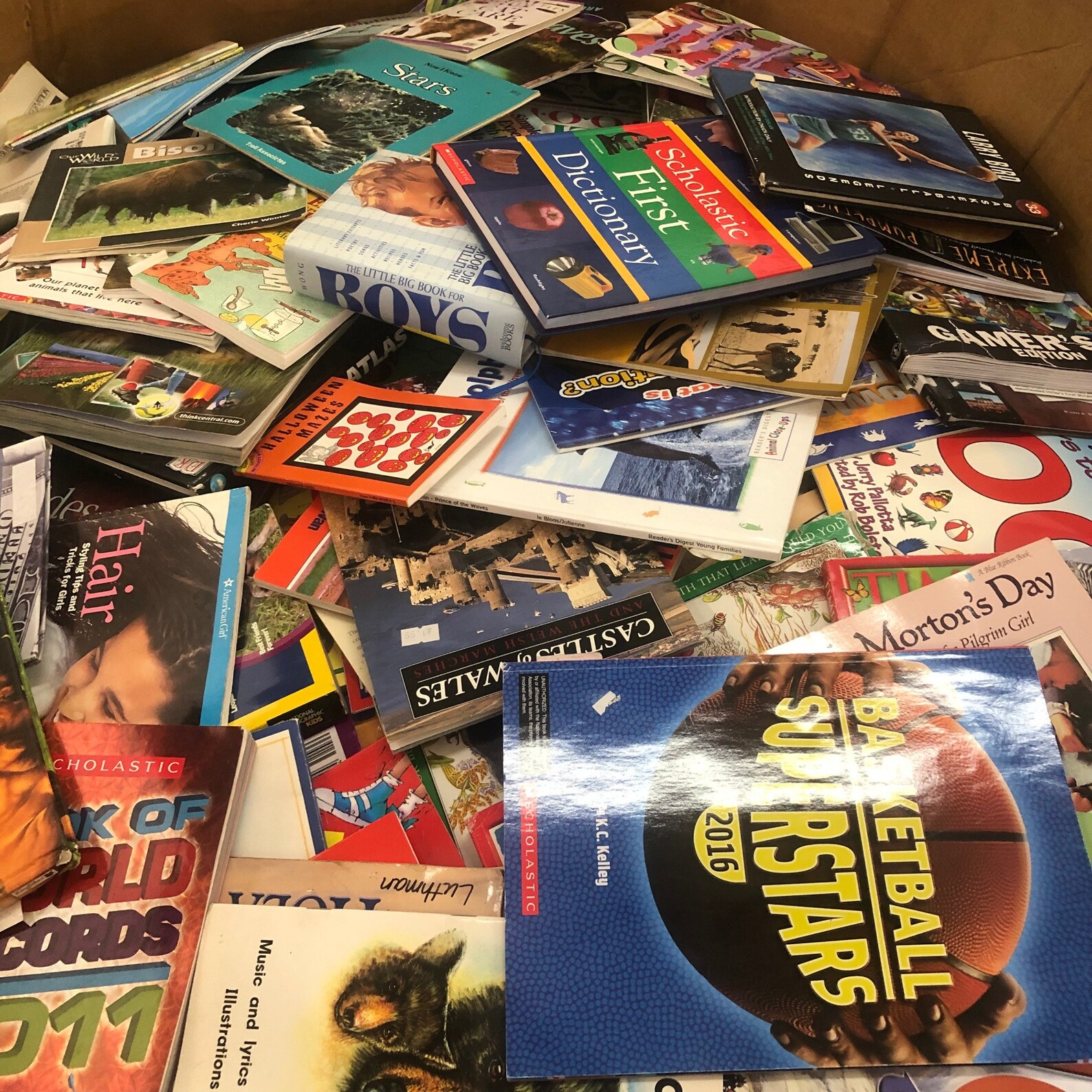 Educational Picture Books Instant Classroom Library Chapter Books ...