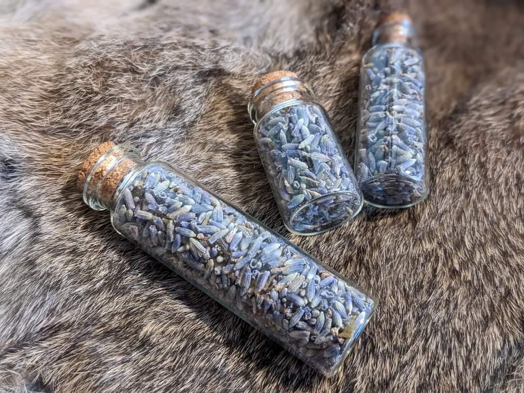 Lavender Vials - Etsy