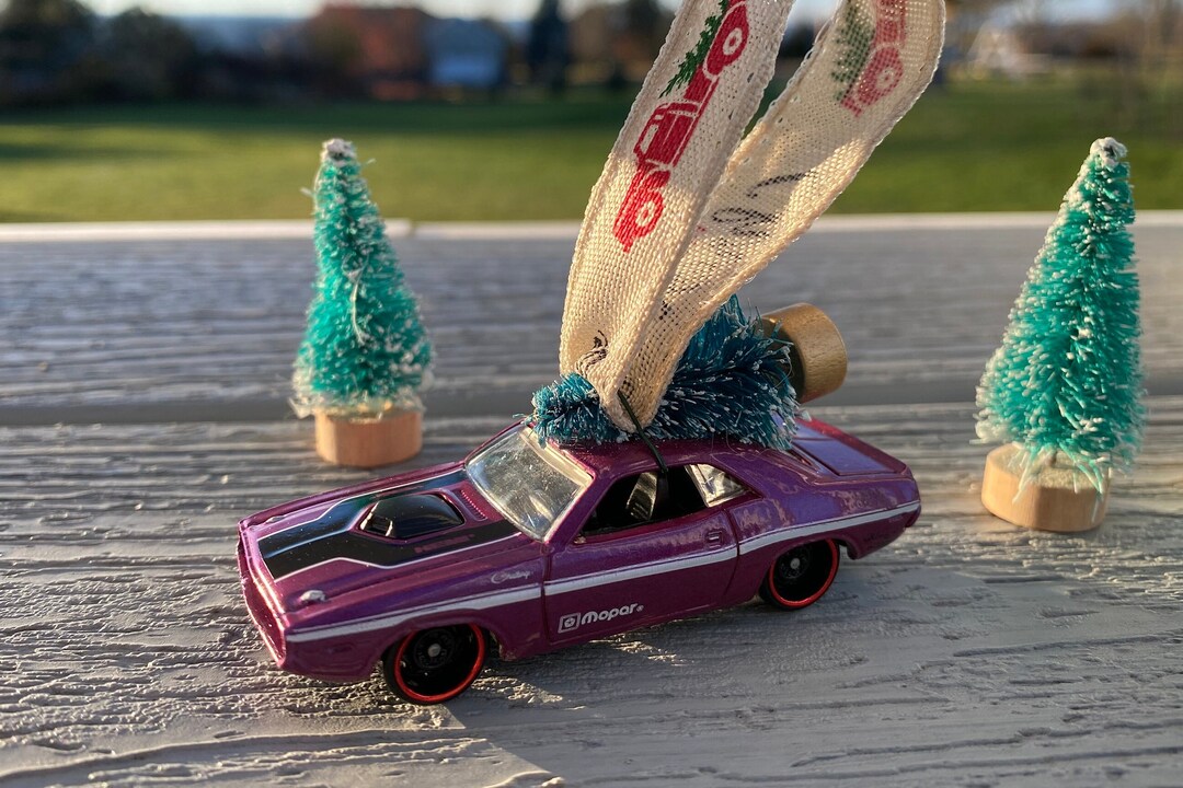 Stocking Stuffer for Muscle Car Guy, 1970 Dodge Challenger Hot Wheels ...