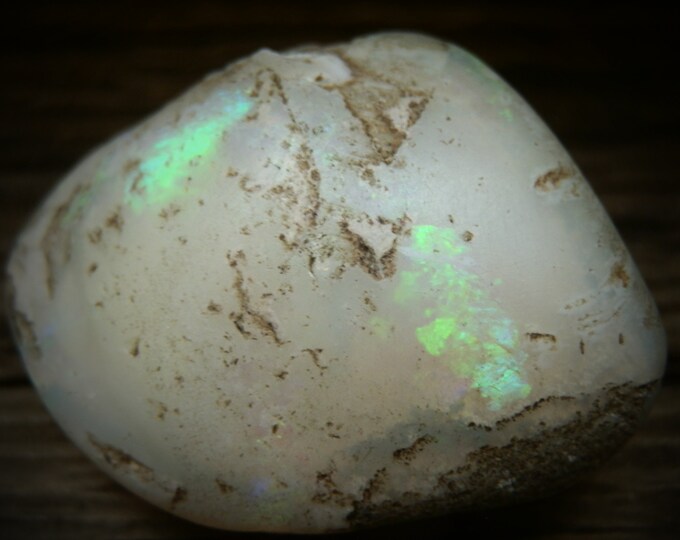 Australian White PRECIOUS OPAL SHELL Specimen Bivalve Clam Shell Fire ...