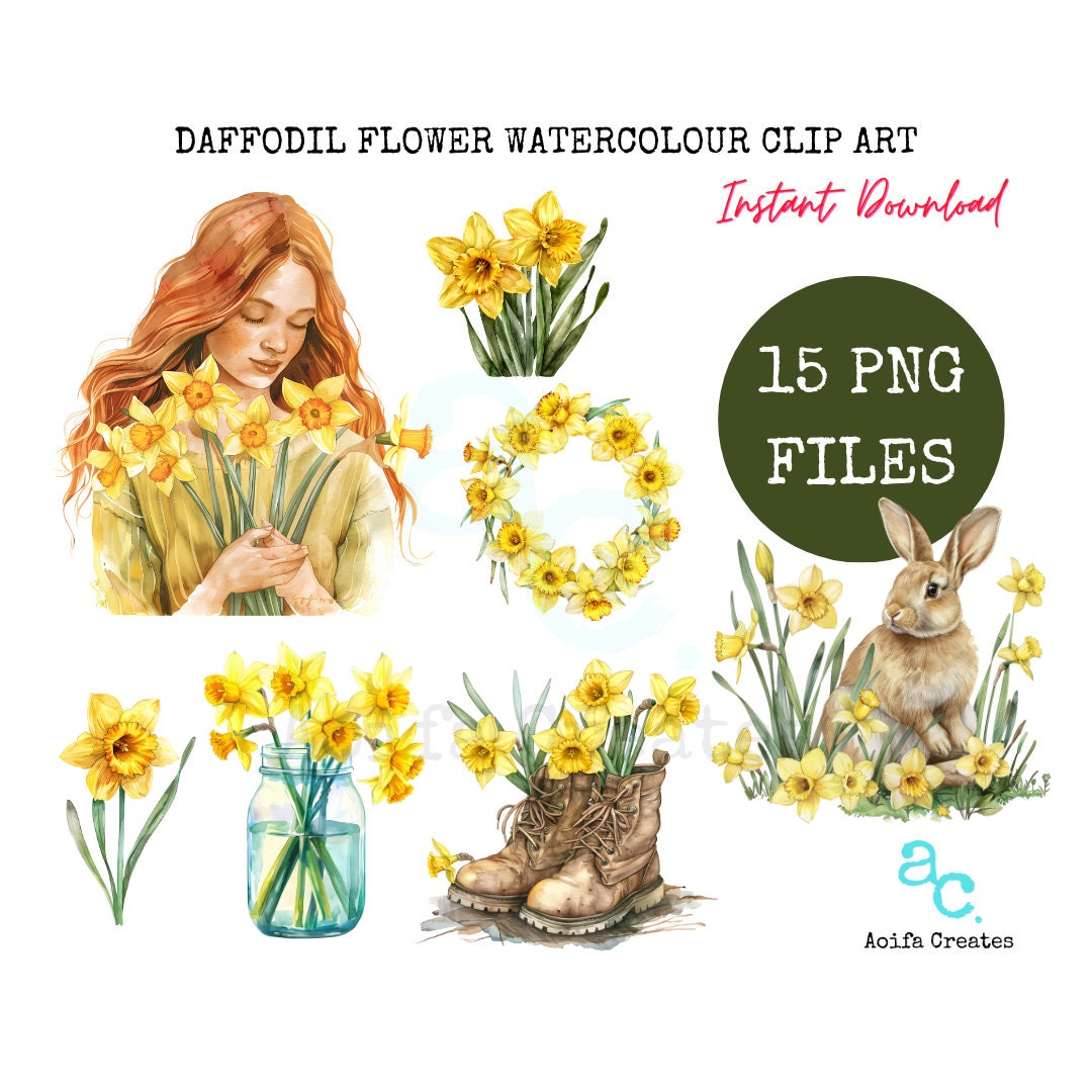 Watercolor Daffodil Clipart Bundle Daffodil Clipart Watercolor Clipart ...