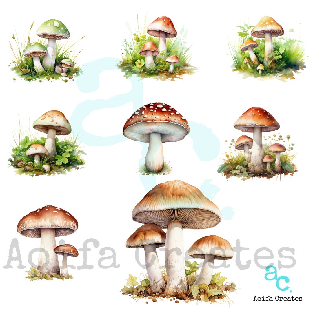 Watercolor Mushrooms Clipart Bundle Commercial Use Included, Mushroom ...
