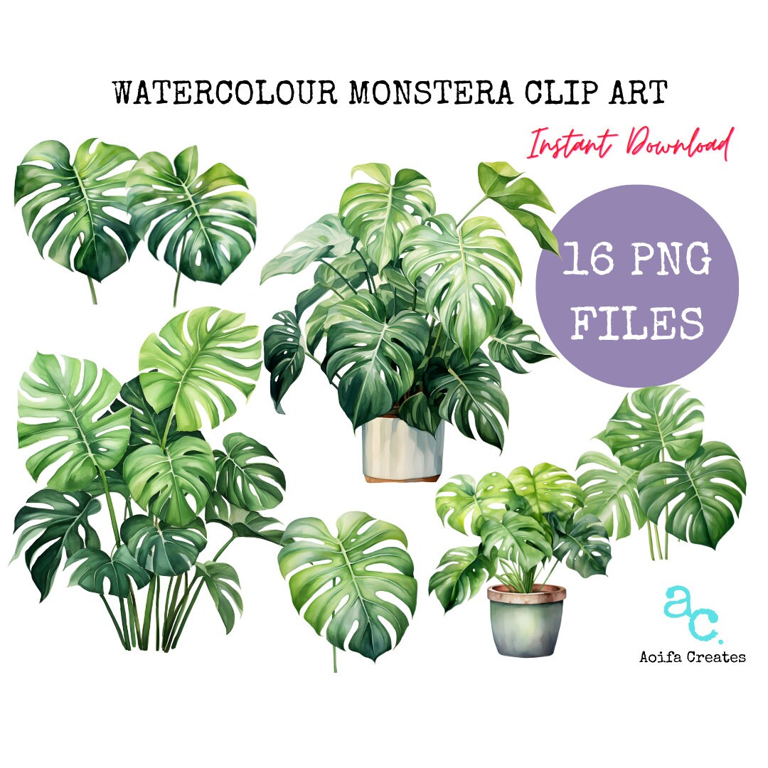 Watercolor Monstera Clipart Bundle Commercial Use Included, Monstera ...
