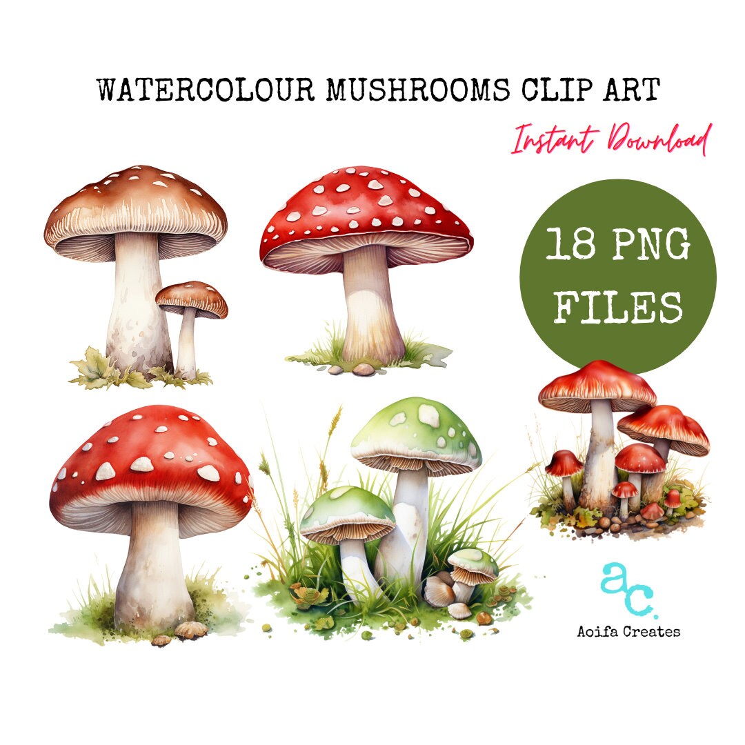 Watercolor Mushrooms Clipart Bundle Commercial Use Included, Mushroom ...
