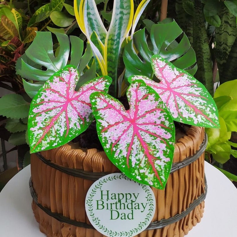 Monstera Leaf Cake - Etsy