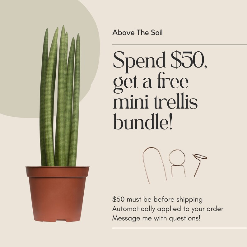 Copper Loop Plant Trellis for Climbing Plants Added Support - Etsy