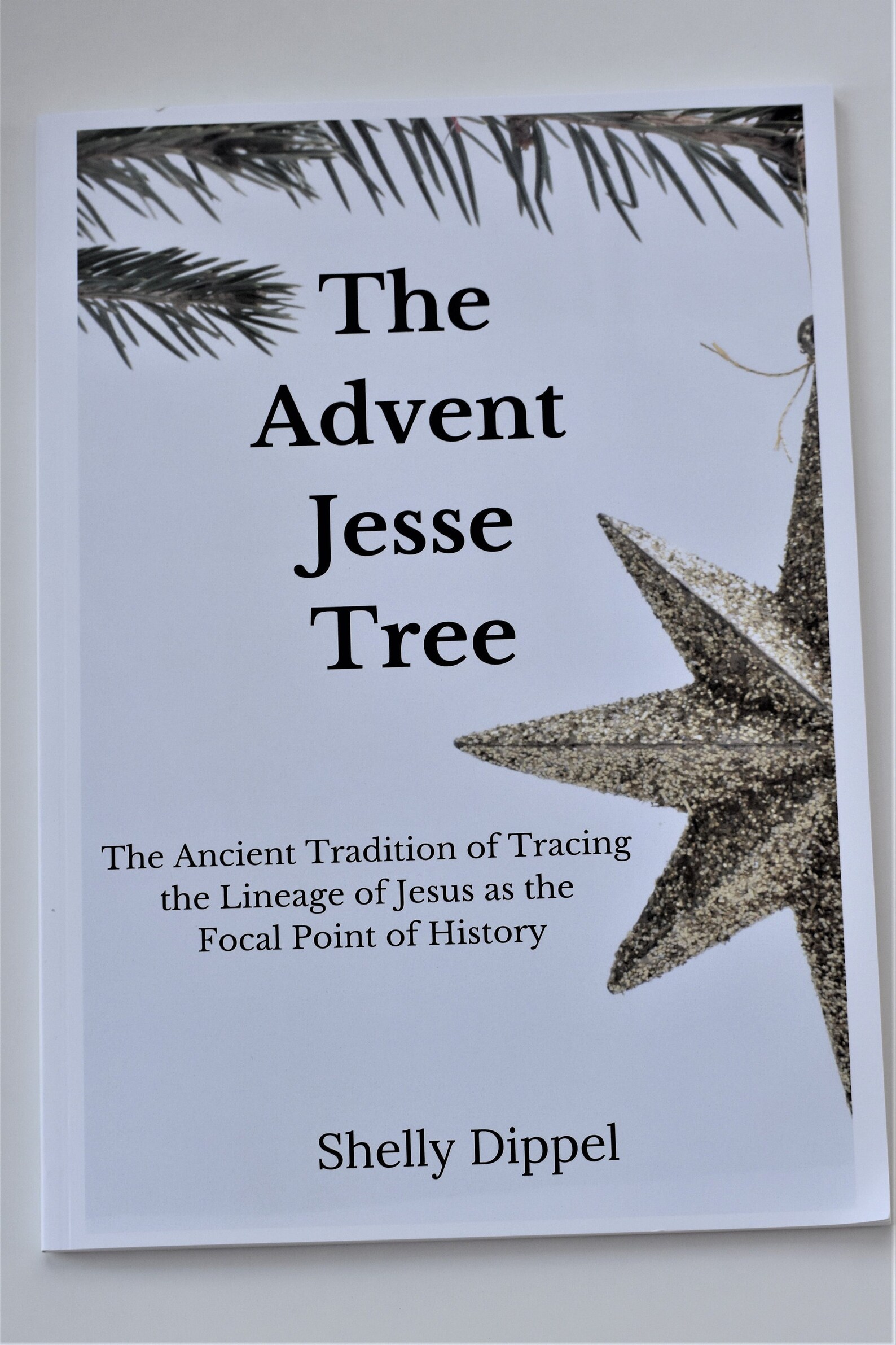 The Advent Jesse Tree Book - Etsy