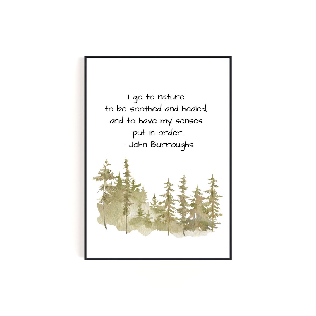 John Burroughs Quote With Pine Trees | Printable Inspirational Home ...