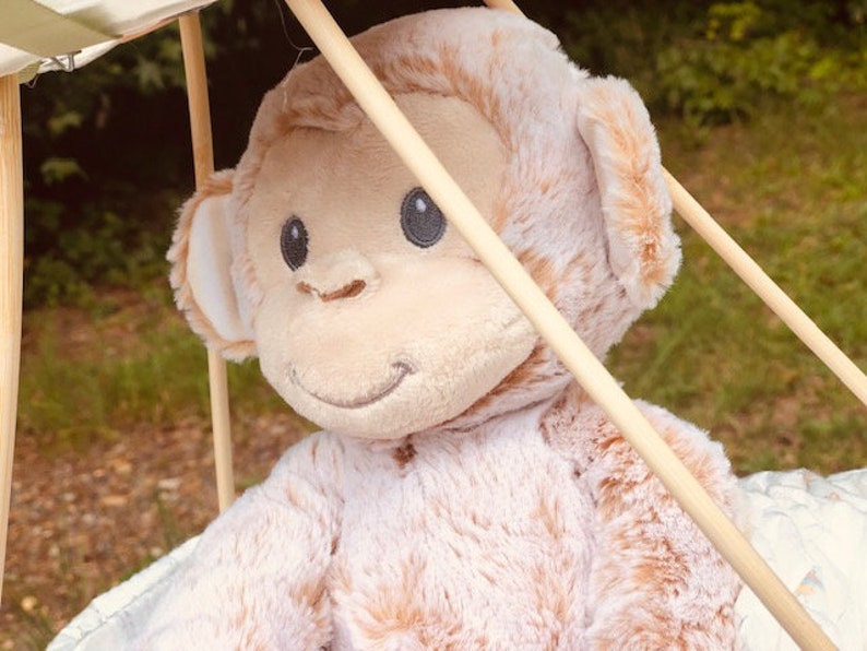 Soft Shell Monkey Hot Air Balloon Diaper Cake, Baby Shower Gift ...