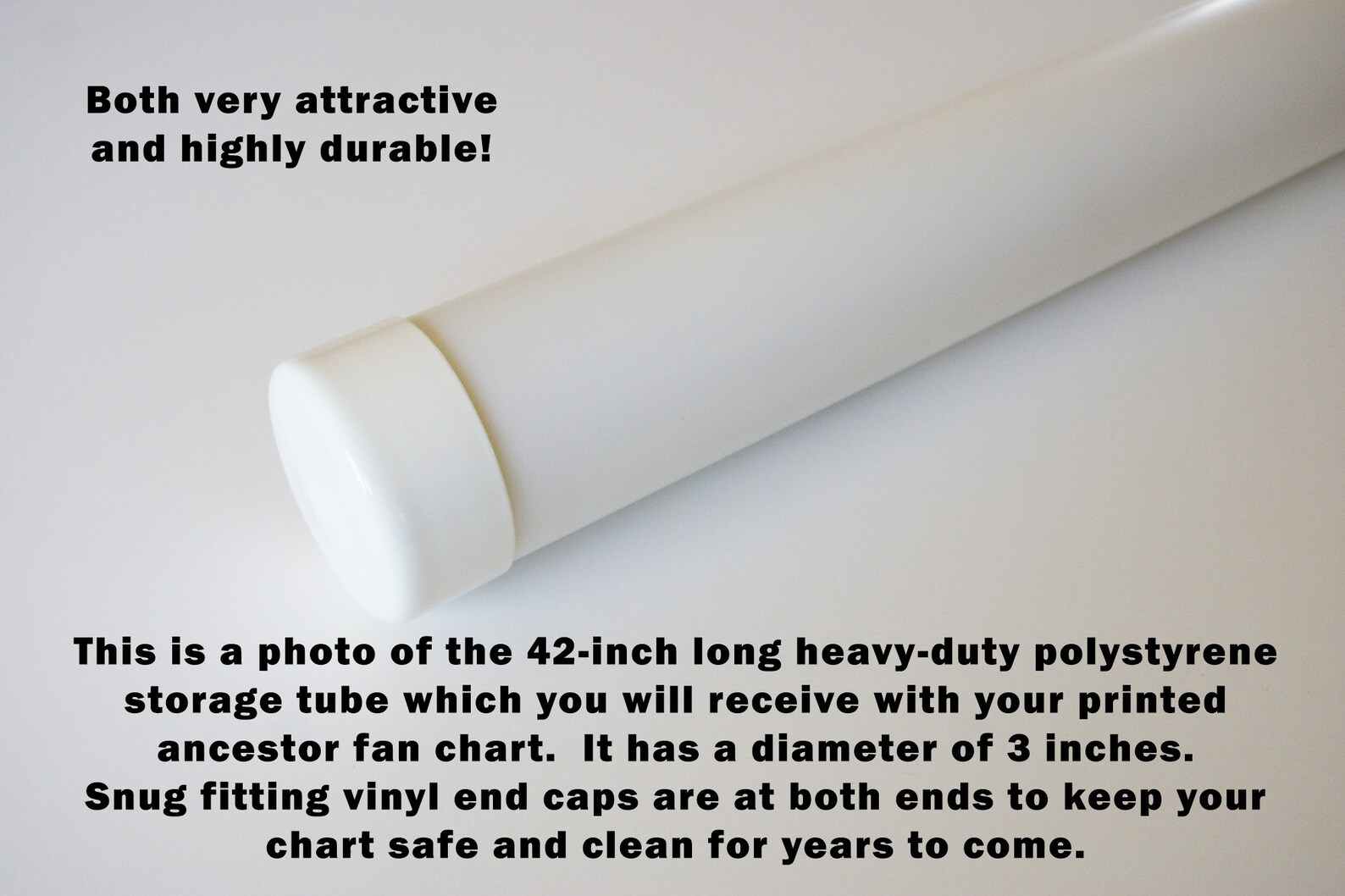 10 Generation Family Tree Wall Chart With Muted Map of the Eastern ...