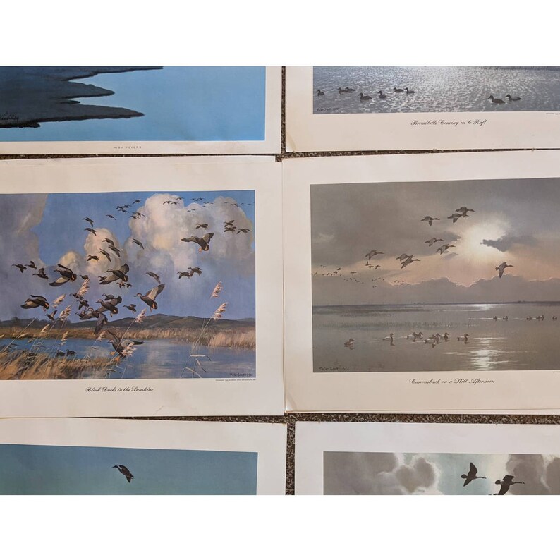 Peter Scott A Field and Stream Portfolio Six Paintings of - Etsy