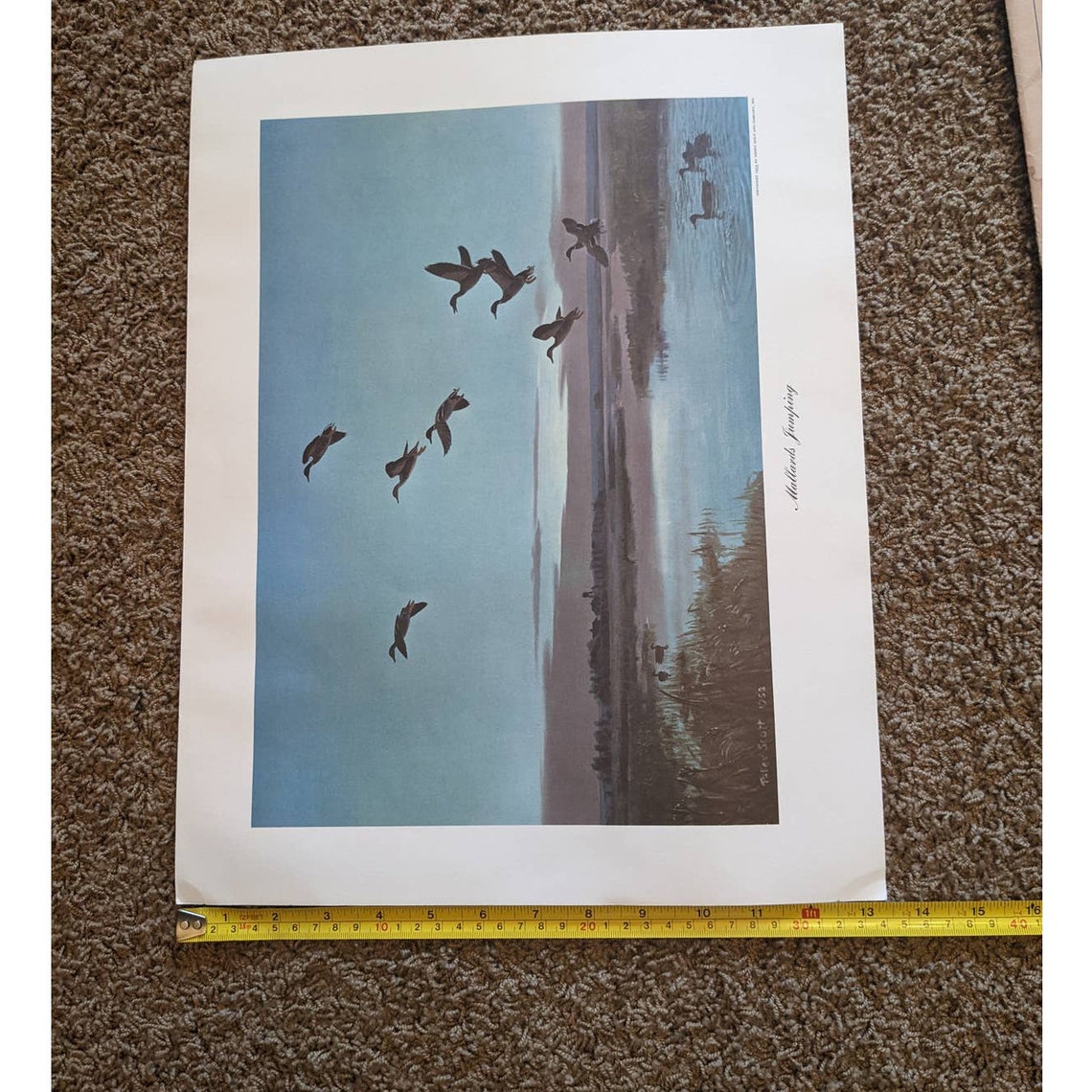 Peter Scott A Field and Stream Portfolio Six Paintings of - Etsy