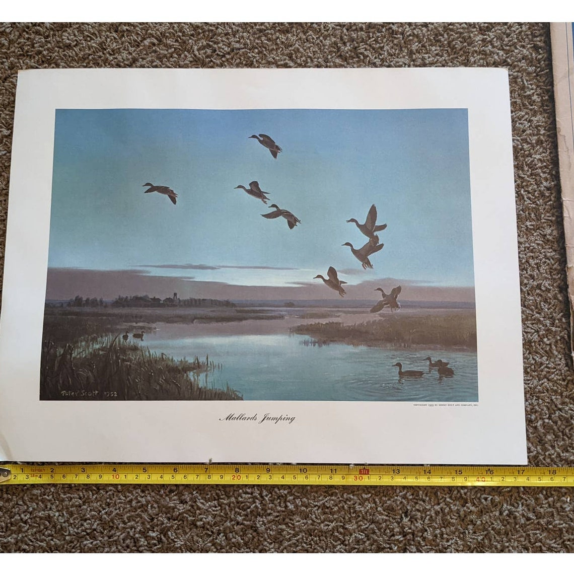 Peter Scott A Field and Stream Portfolio Six Paintings of - Etsy