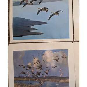 Peter Scott A Field and Stream Portfolio Six Paintings of - Etsy