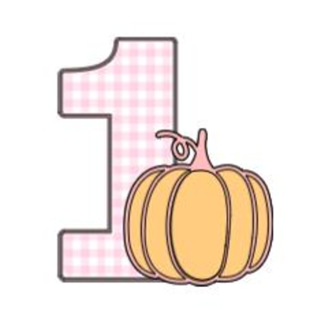 Pink Pumpkin Cake Topper, Fall First Birthday Cake Topper, One Pumpkin ...