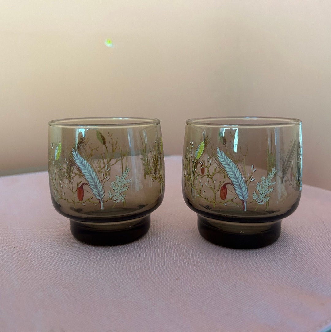 Vintage Brown Tinted Small Drinking Glasses (includes 2 Identical ...