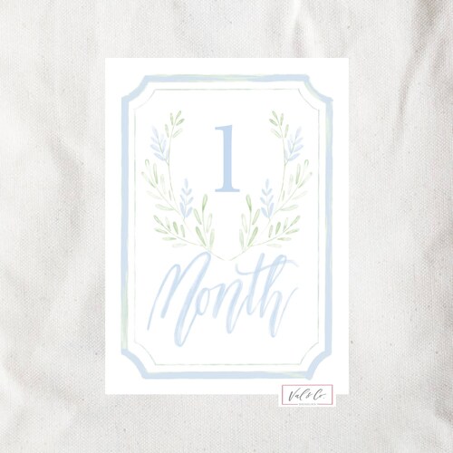 Watercolor Blue Baby Milestone Cards // Month Cards // Baby - Etsy