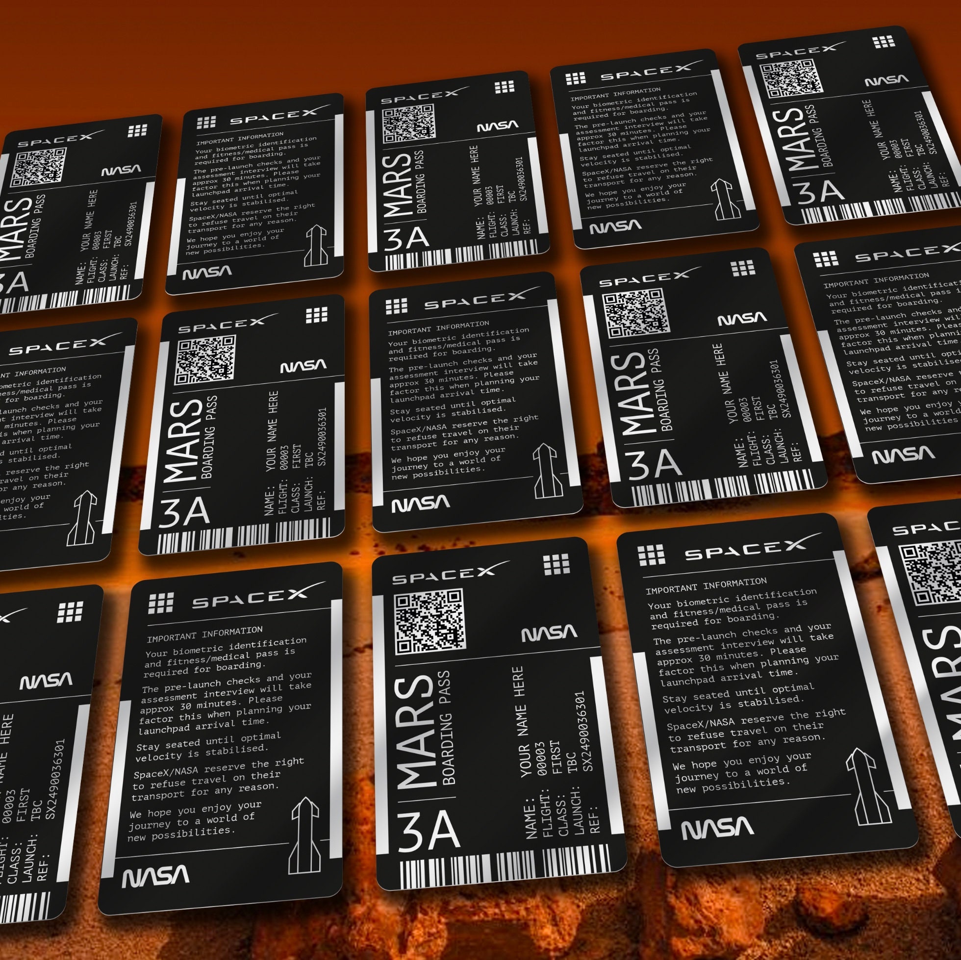 NASA / Spacex MARS Starship Boarding Card Top Quality - Etsy