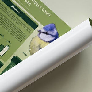 Scientific Poster Template Set - Powerpoint - Google Slides - DIGITAL ...