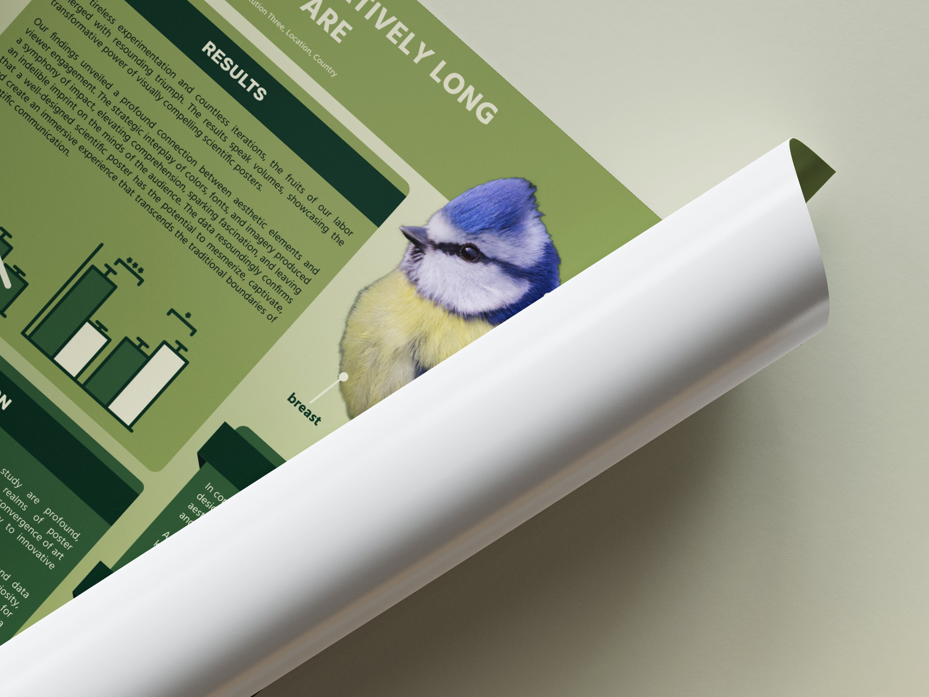 Scientific Poster Template Set - Powerpoint - Google Slides - DIGITAL ...