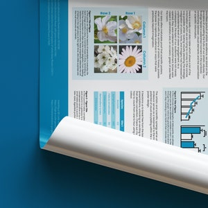 Scientific Poster Template Set - Powerpoint - Google Slides - DIGITAL ...