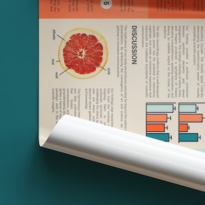 Scientific Poster Template Set - Powerpoint - Google Slides - DIGITAL ...