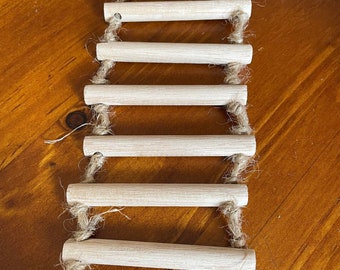 Bearded Dragon | Etsy