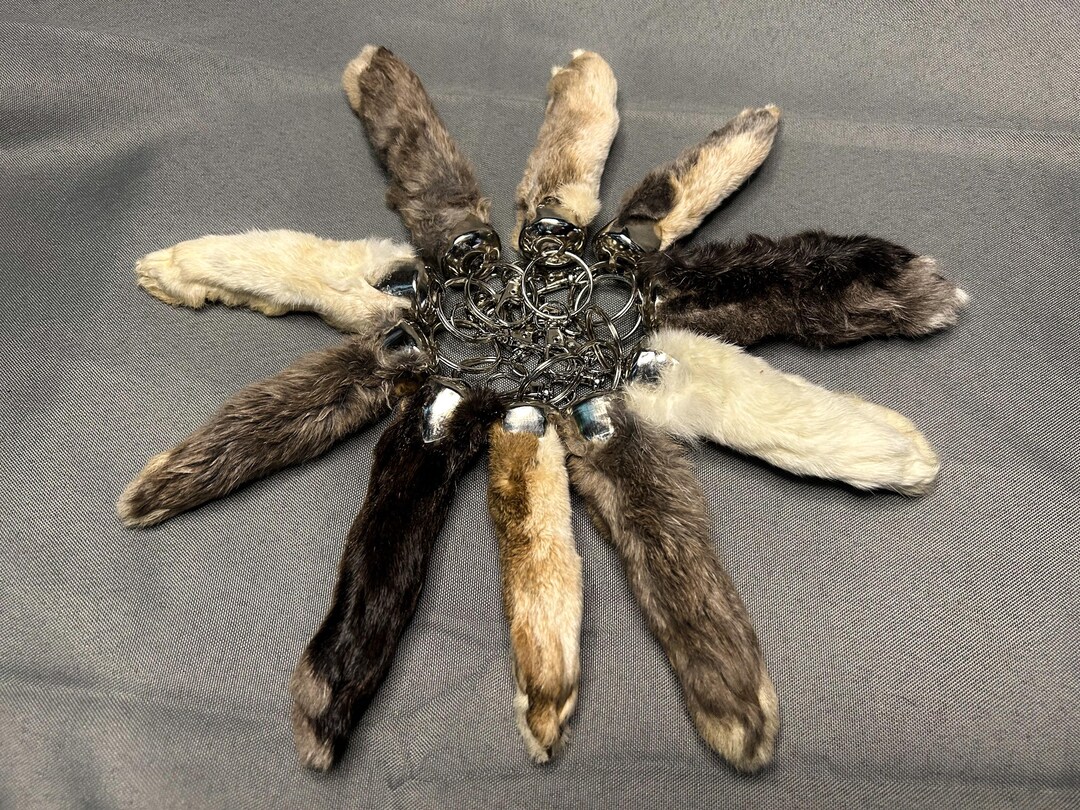 Rabbits Foot Keychain, Lucky Rabbits Foot, Authentic Rabbit Foot ...