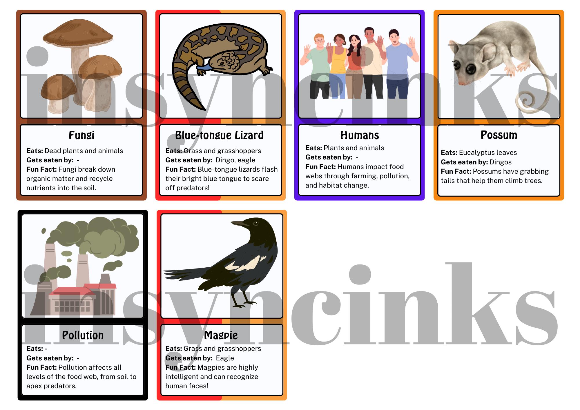 Australian Food Web Cards | Printable Ecosystem Activity for Science ...