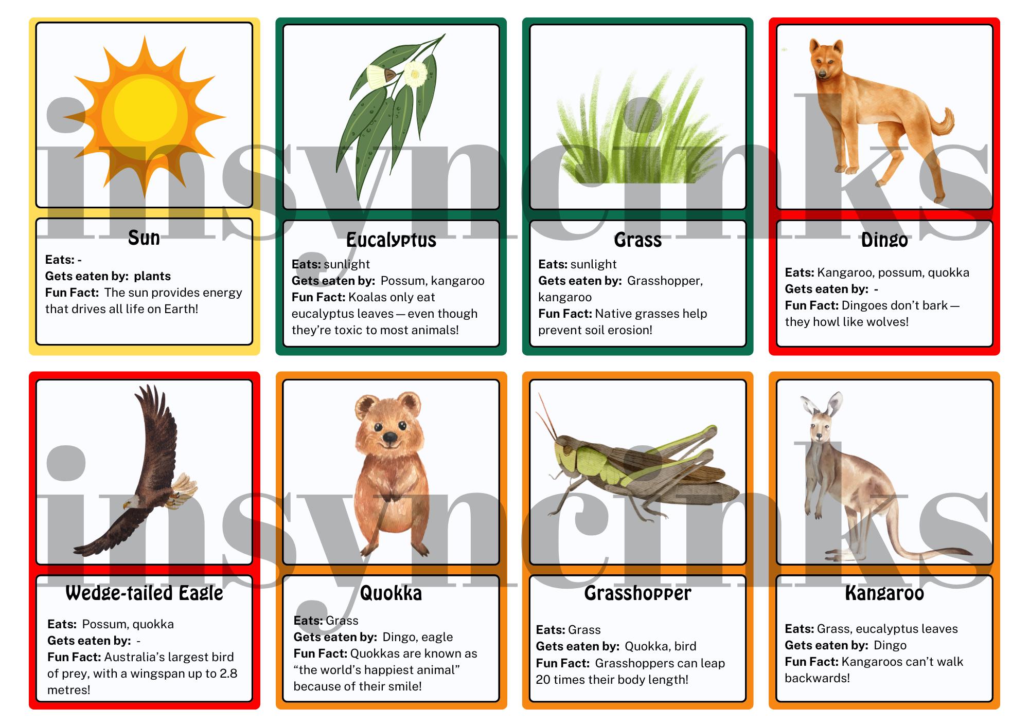 Australian Food Web Cards | Printable Ecosystem Activity for Science ...