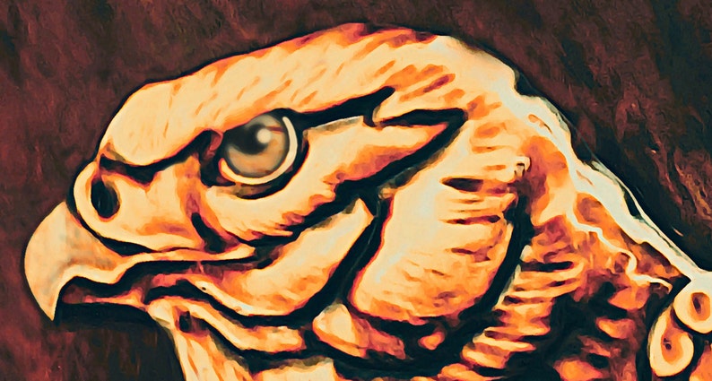 Hawk Printable Artwork Bird Art Prints for Modern Living Room - Etsy