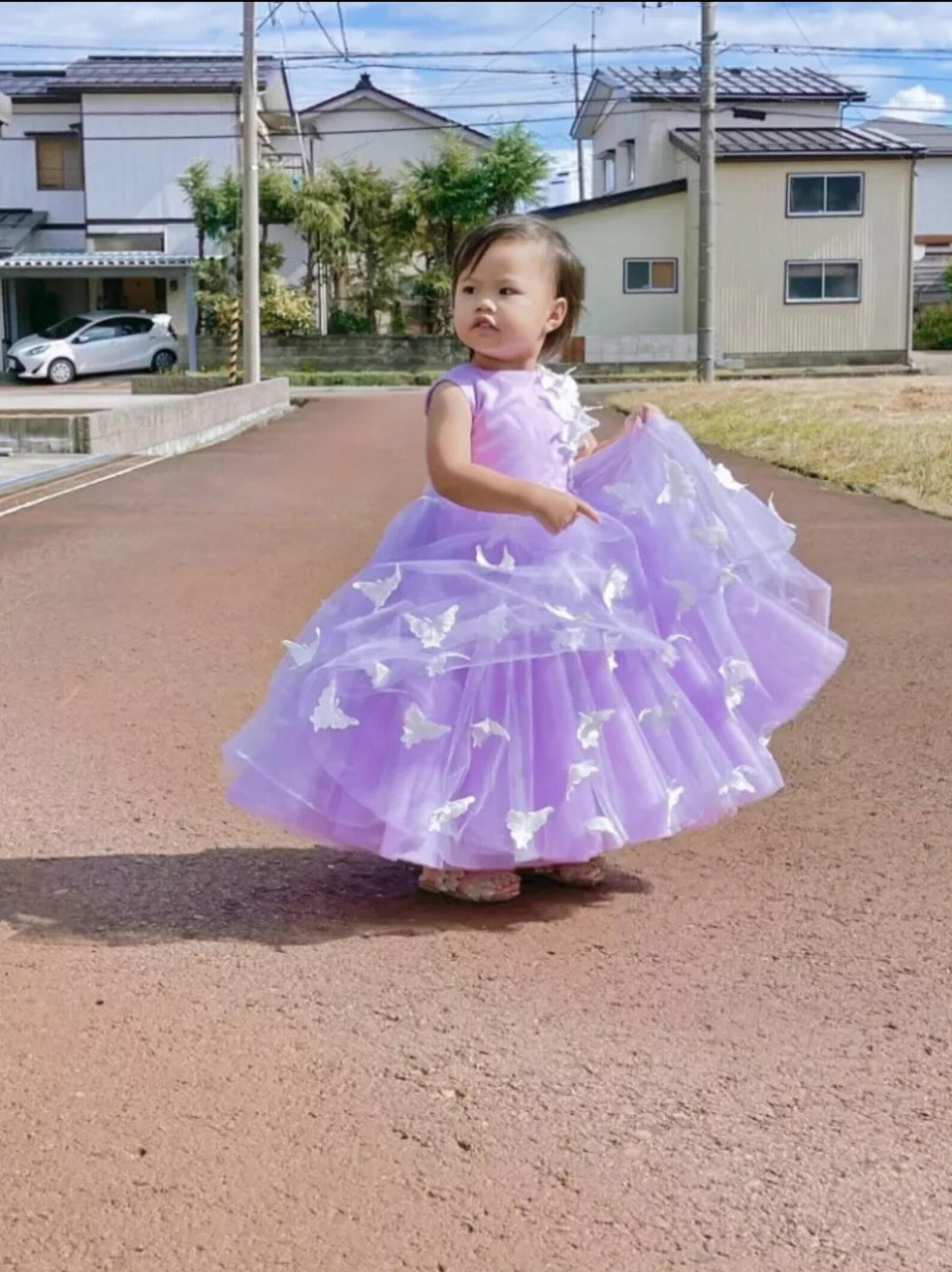 Butterfly Princess Dress - Etsy