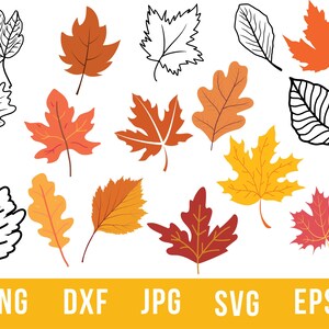 Fall Leaves Svg, Leaves Svg, Hello Fall Svg, Fall Svg Files, Autumn Svg ...