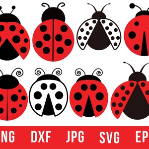 Ladybug Svg Bundle Files, Love Path Bug Svg, Ladybug Svg Layered ...