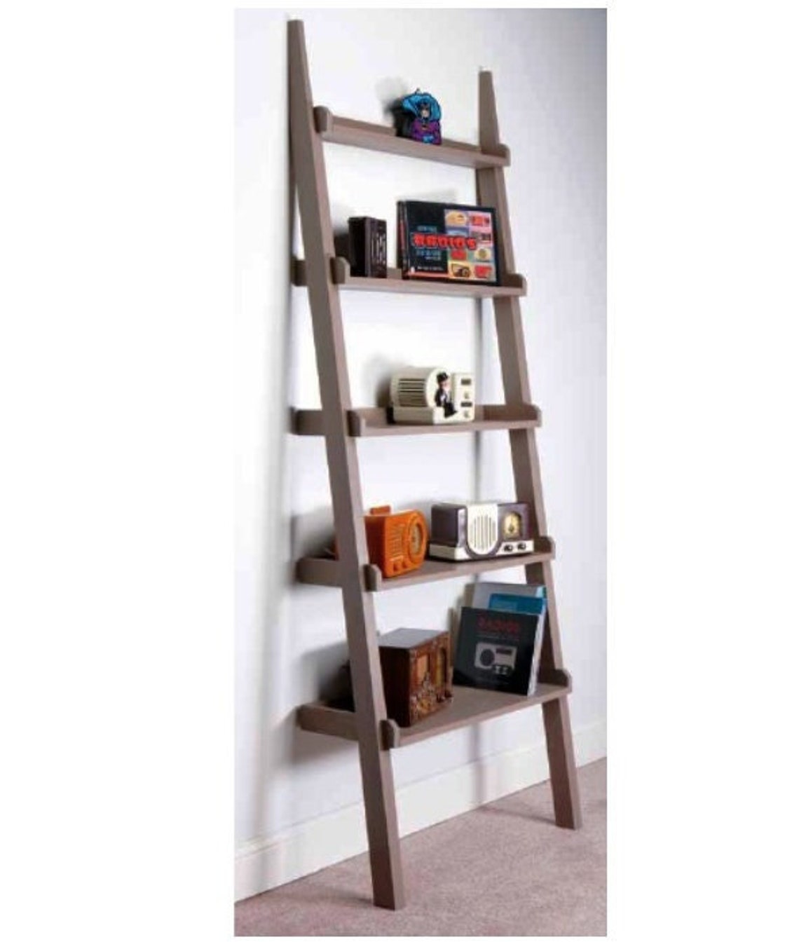 Ladder Shelves DIY PLANS Easy Beginner Level Shelves Bookcase Storage ...
