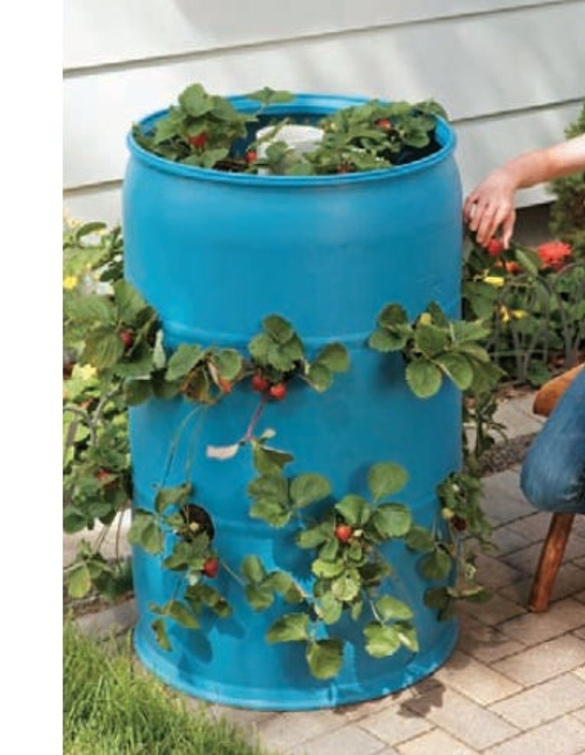 Strawberry Barrel Planter PLANS DIY Barrel Planter How to Woodcraft ...
