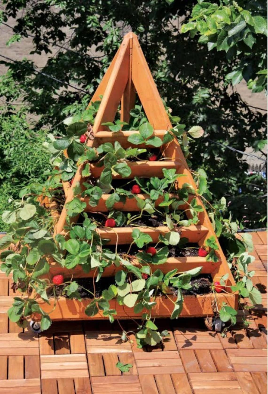 Pyramid Strawberry Planter PLANS DIY Pyramid Planter How to | Etsy