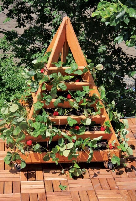 Pyramid Strawberry Planter PLANS DIY Pyramid Planter How to - Etsy
